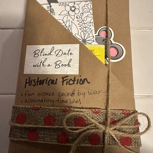Blind Date With a Book, Book Gift, Fiction Book, Historical Fiction ...