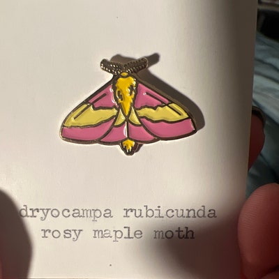 ONE Large Monarch Butterfly Migration Stickers Wall Art - Etsy