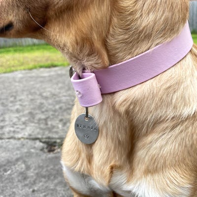 Custom Hand Stamped Dog Tags Simple Handmade Pet Id Tag Metal Circle ...