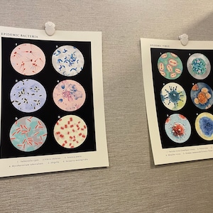 Thank You Card for Microbiology Professor Chemistry Biology - Etsy