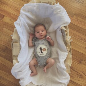 Baby Boy Rustic Month Stickers Boy Woodland Theme 1-12 Month | Etsy