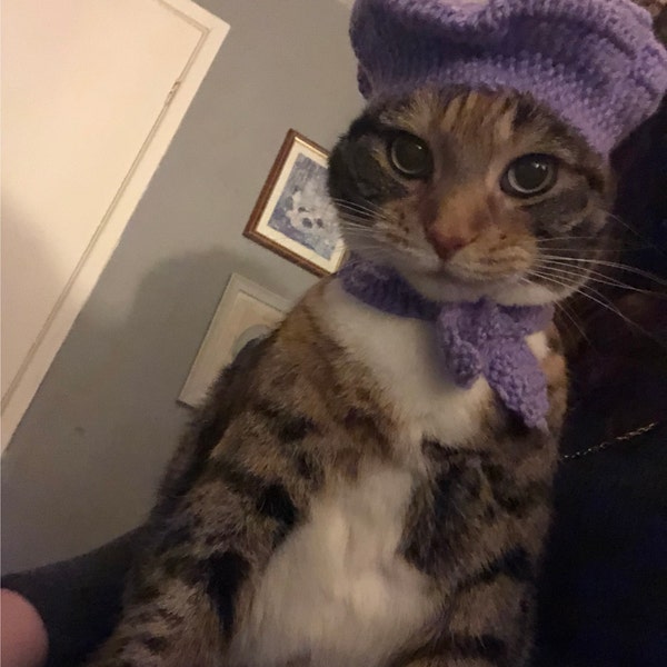 French Beret Hat and Scarf, Beret Hat for Cat, Cat Scarf, Purple Kitten ...