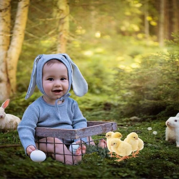 Crowns King Crown Overlay Photoshop Overlays for Photographers ...