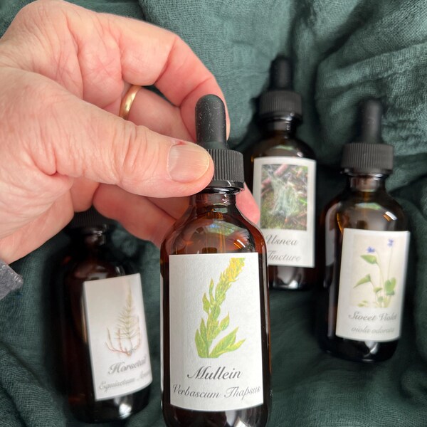 Wildcrafted Periwinkle Tincture - Etsy