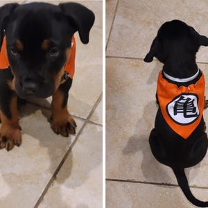 Piccolo Postboy Cosplay Earth Casual Namekian Driving T-shirt - Etsy