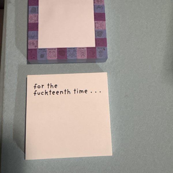 For the Fuckteenth Time Sticky Note, Funny Office Decor for Coworker ...