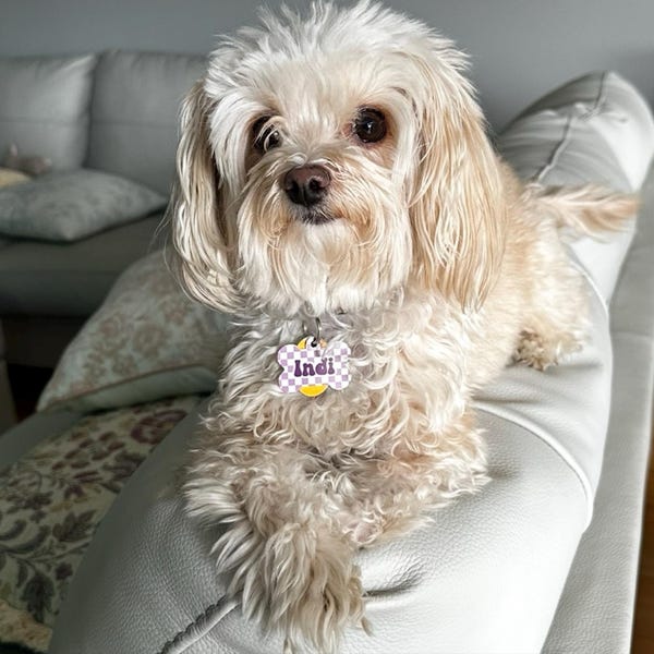 Checker Pet Tag - Customizable Dog ID With Retro Checkerprint Theme ...