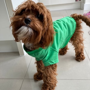 Grey Dog T-shirt Dog Tees Dog Shirts Pet Shirts XXS to - Etsy