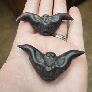 Master Root Oil A Hoodoo Traditional Oil for Mastery Over All Things ...