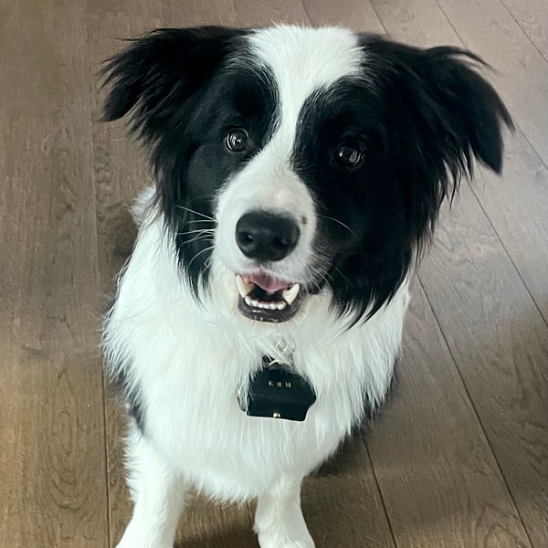 Personalised Dog Proposal Engagement Ring Pouch | Pet Proposal Idea ...