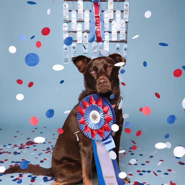 Dog Show Ribbon Holder Dog Show Award Rack Dog Show Ribbon Holder Dog ...