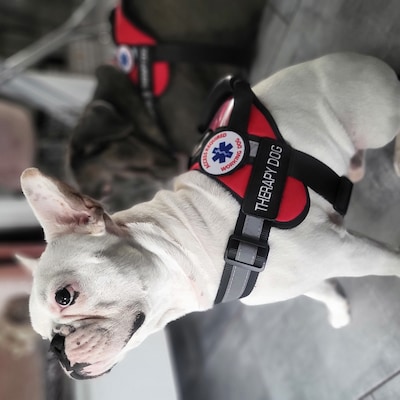 Emotional Support Animal E.S.A. Dog Harness Reflective Assistance Vest ...