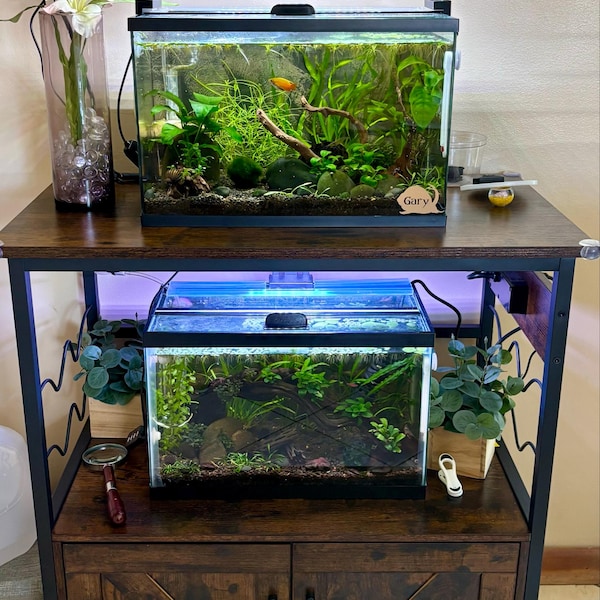 Finnex Stingray Original LED Light Riser, Attractive Stable Elevated ...