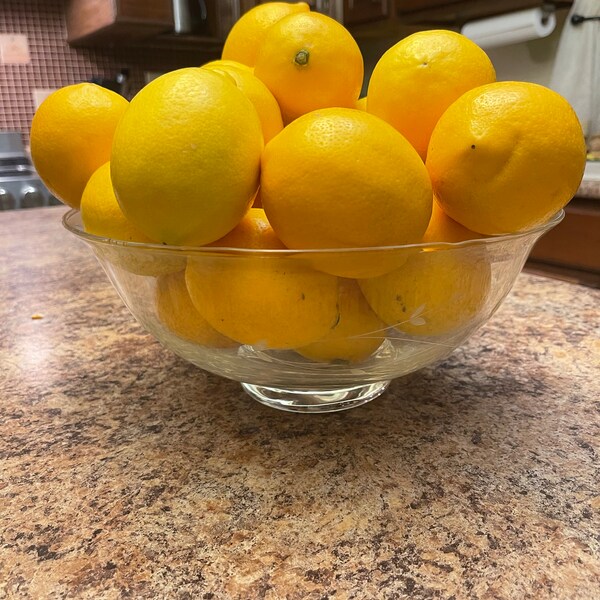 Fresh Meyer Lemons | Fresh Picked | 4lbs | Grown on a Small Farm in ...