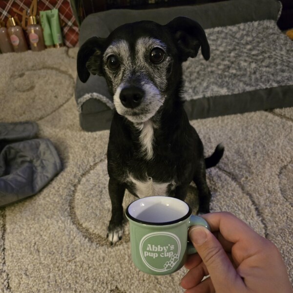 Reusable Pup Cup Custom Puppuccino Mug Dog Mom Gift 2oz Personalized ...