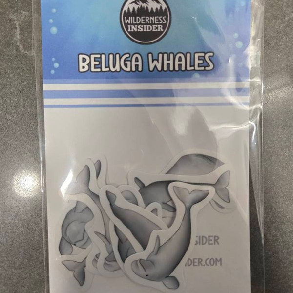 Giant Panda Sticker Pack Bear Decals Endangered Species Vinyl Stickers ...