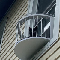 Cat Solarium Conservatory Package the Ultimate Cat Window Box. Cat ...