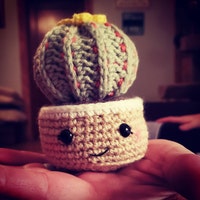 Barrel Cactus Crochet Pattern - Etsy Canada