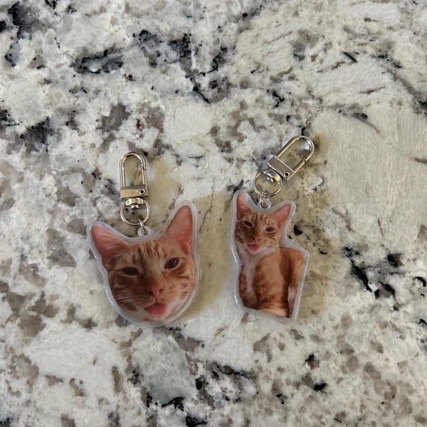 Custom Cat Keychain, Dog Keychain, Pet Keychain, Personalized Pet Photo ...