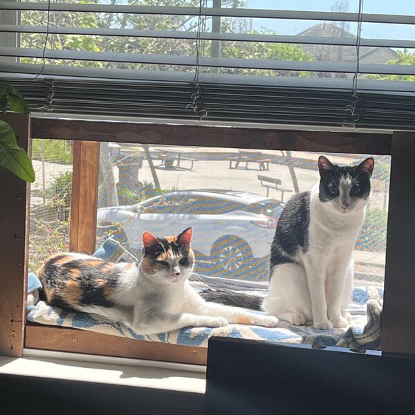 Catio DIY Digital Plan - Window Box for Cats - Etsy