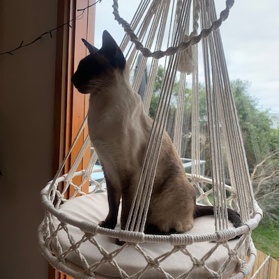 Elegant Macrame Cat Hammock Macrame Cat Bed Hanging Cat - Etsy