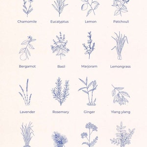 WELLNESS Hand-drawn Line Art Wellness Beauty Spa Yoga Pilates Skincare ...