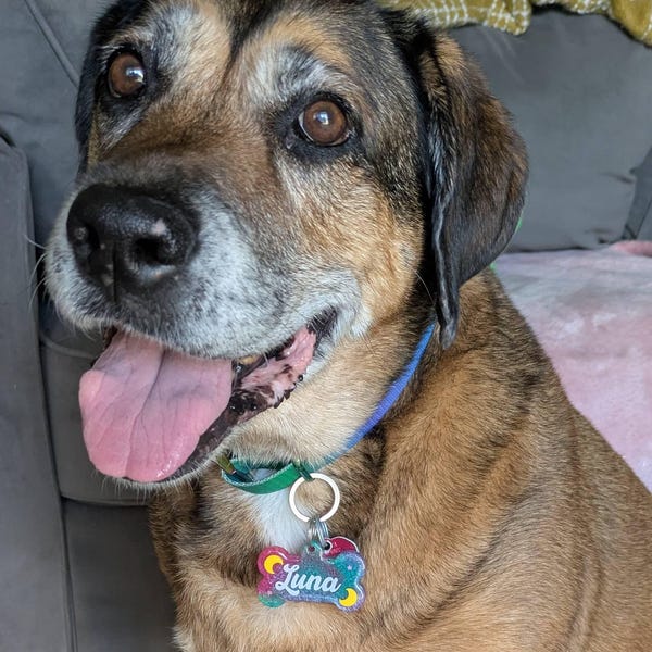 Bubble Bath Pet Tag - Etsy