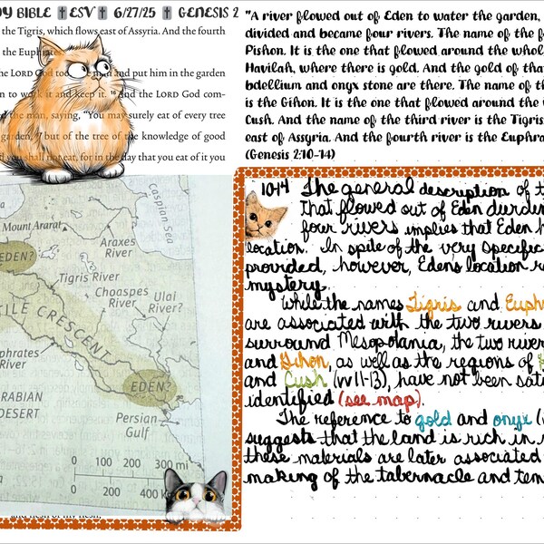 Magic Halo Brushes for Procreate |160+ Light Circles & Spell Symbols ...