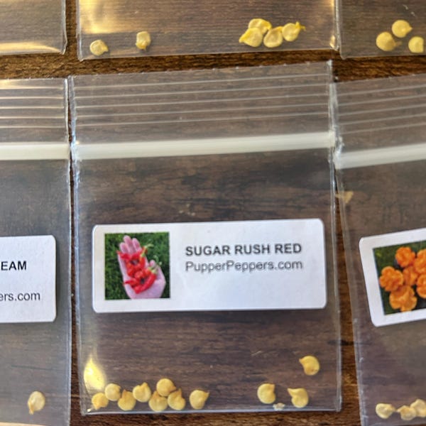 Purple Peach Carolina Reaper Rare Pepper Seeds Premium Packet - Etsy