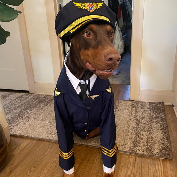Custom Made Dog Cat Pet Pilot Captain Aviator Uniform Blazer Coat and ...