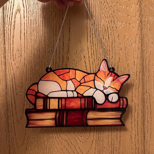 Orange Cat on the Books Acrylic Hanging Decor, Book Lover Gift Acrylic ...