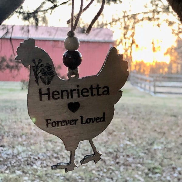 Chicken Coop Sign, Chicken Welcome Sign, Round Welcome Sign, Funny ...