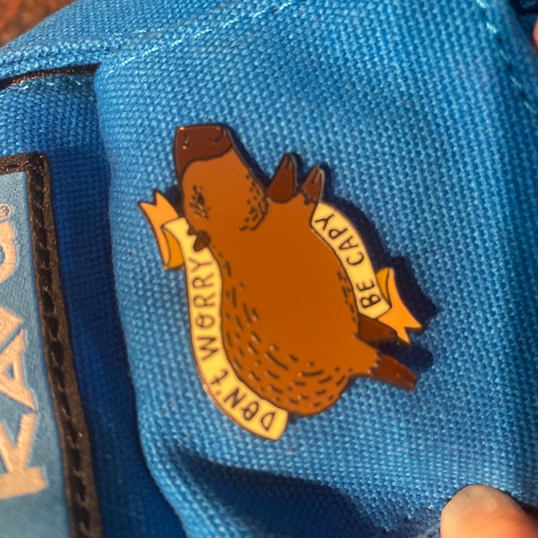 SECONDS SALE Don't Worry Be Capy Capybara Hard Enamel Pin - Etsy