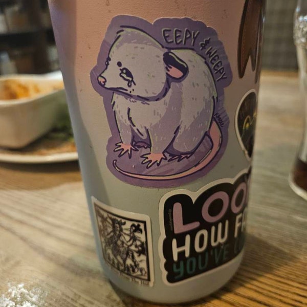Pocha Kuni Korean Street Food Raccoon Mystery Bag - Etsy