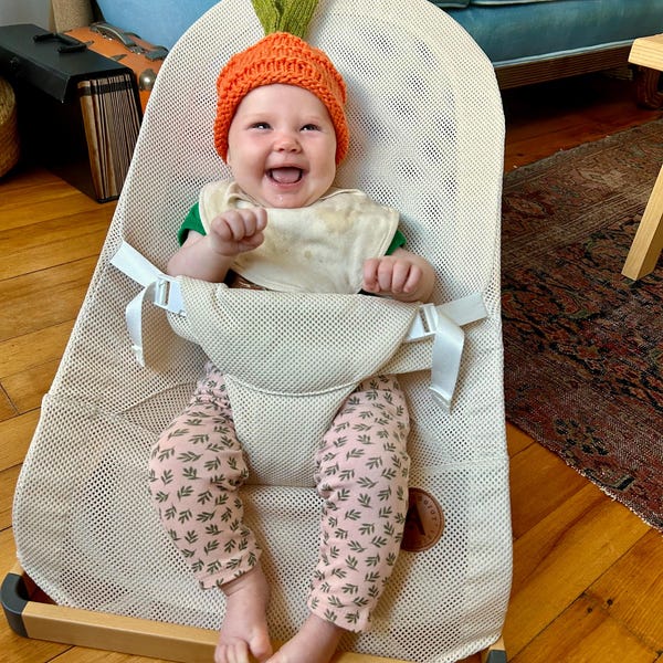 Roadkill Raccoon Bookmark - Vegan Roadkill - Raccoon - Made to Order - Etsy