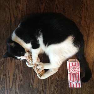 Popcorn Kicker Cat Toy, Catnip Toy, Carnival Popcorn, Movie Theatre ...