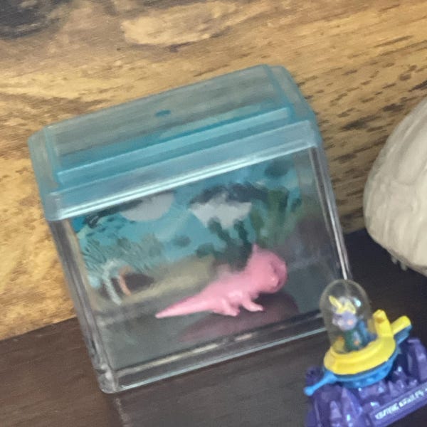 Miniature Aquarium Rocks and Plants/tiny Fish Tank Supplies/miniverse ...