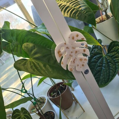 Plant Trellis Cebu Blue Pothos Plant Art Plant Decor - Etsy