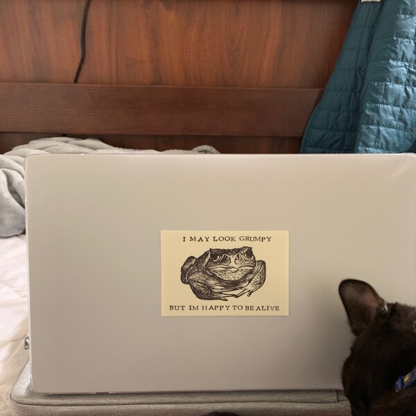 Toad I May Look Grumpy Vinyl Sticker - 4in X 3.25in - Frog Accessories ...