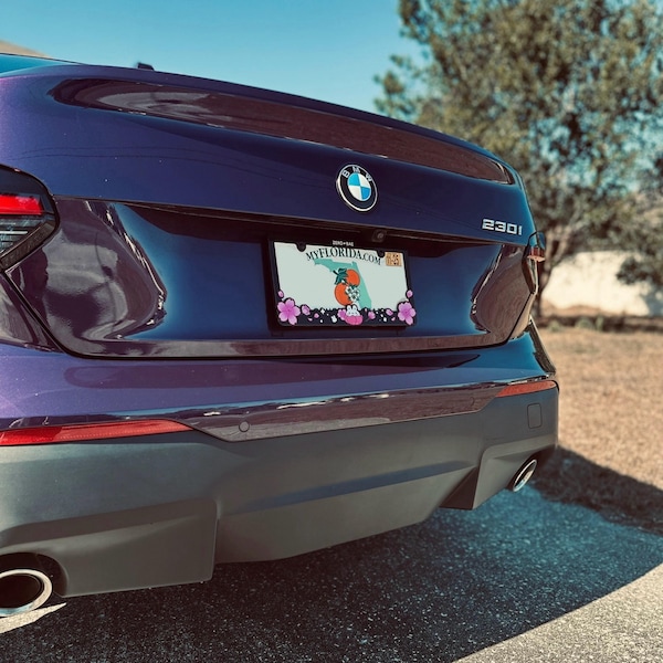 B-GRADE Cinna Dreamy Bunny Cute License Plate Frame B-GRADE - Etsy