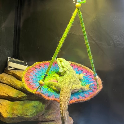 Sprinkles Reptile Hammock - Etsy