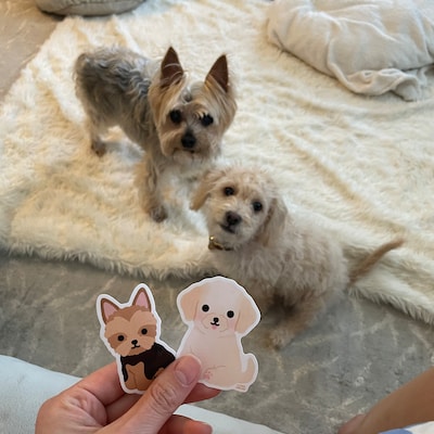 Black Tri Cardigan Corgi Dog Breed Waterproof Vinyl Sticker Kawaii ...