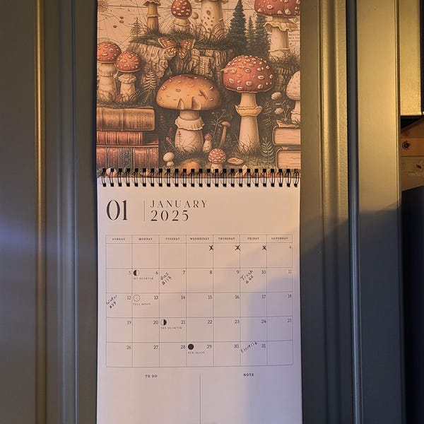 2025 Calendar | Cottage Core Calendar | 2025 Monthly Planner - Etsy Canada