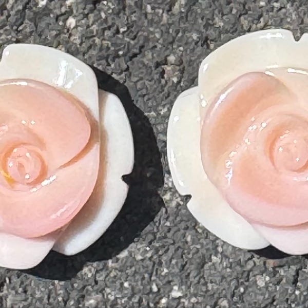 Pink Queen Conch Shell Roses, 10/12/15/20 Mm, Hand Carved All the Way ...