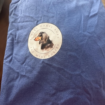 Custom Comfort Colors Logo Design Shirt, Company Logo Merch, Team Shirt ...