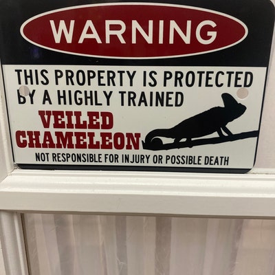 Veiled Chameleon Sign,funny Metal Signs,chameleon Gift,chameleon ...