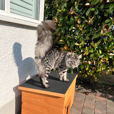 Ford Transit Custom Van Racking Set 2013 - Etsy