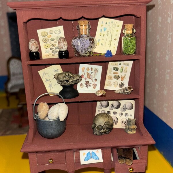 DIY Miniature Cabinet of Curiosities KIT Oddities Museum Collection ...