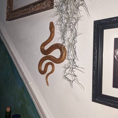 Snake Wall Hanging, Snake Wall Art, Alt Home Decor, Unusual Gift, Snake ...