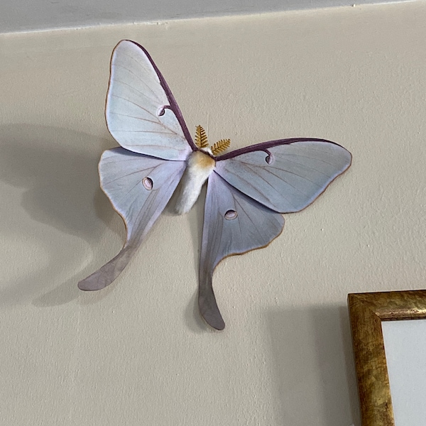 Moth Stuffie Sewing Pattern PDF Digital Download - Crinkle and Rattle ...